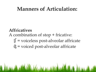 Intro. to Linguistics_6 Phonetics (Organ of Speech, Segment ...