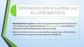 Basics Of Leprosy ( PATHOGENESIS) | PPTX