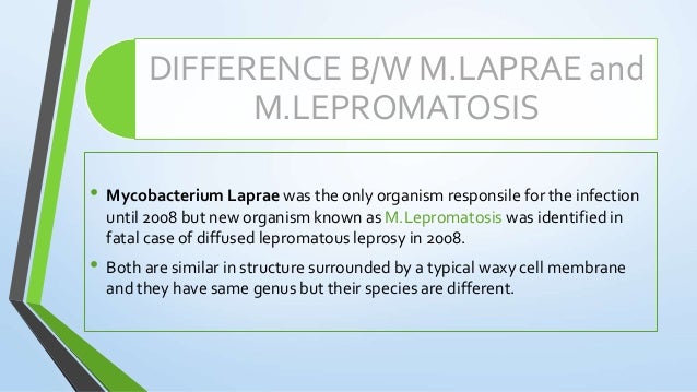 Basics Of Leprosy ( PATHOGENESIS)