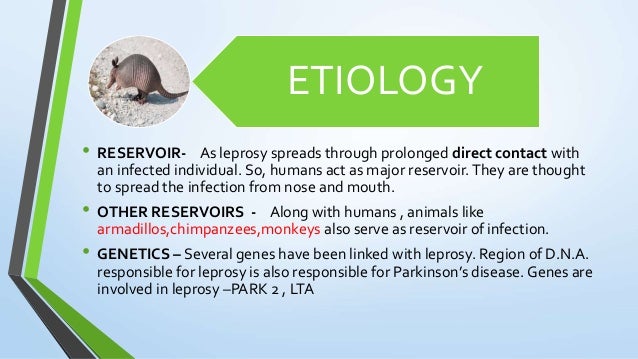 Basics Of Leprosy ( PATHOGENESIS)