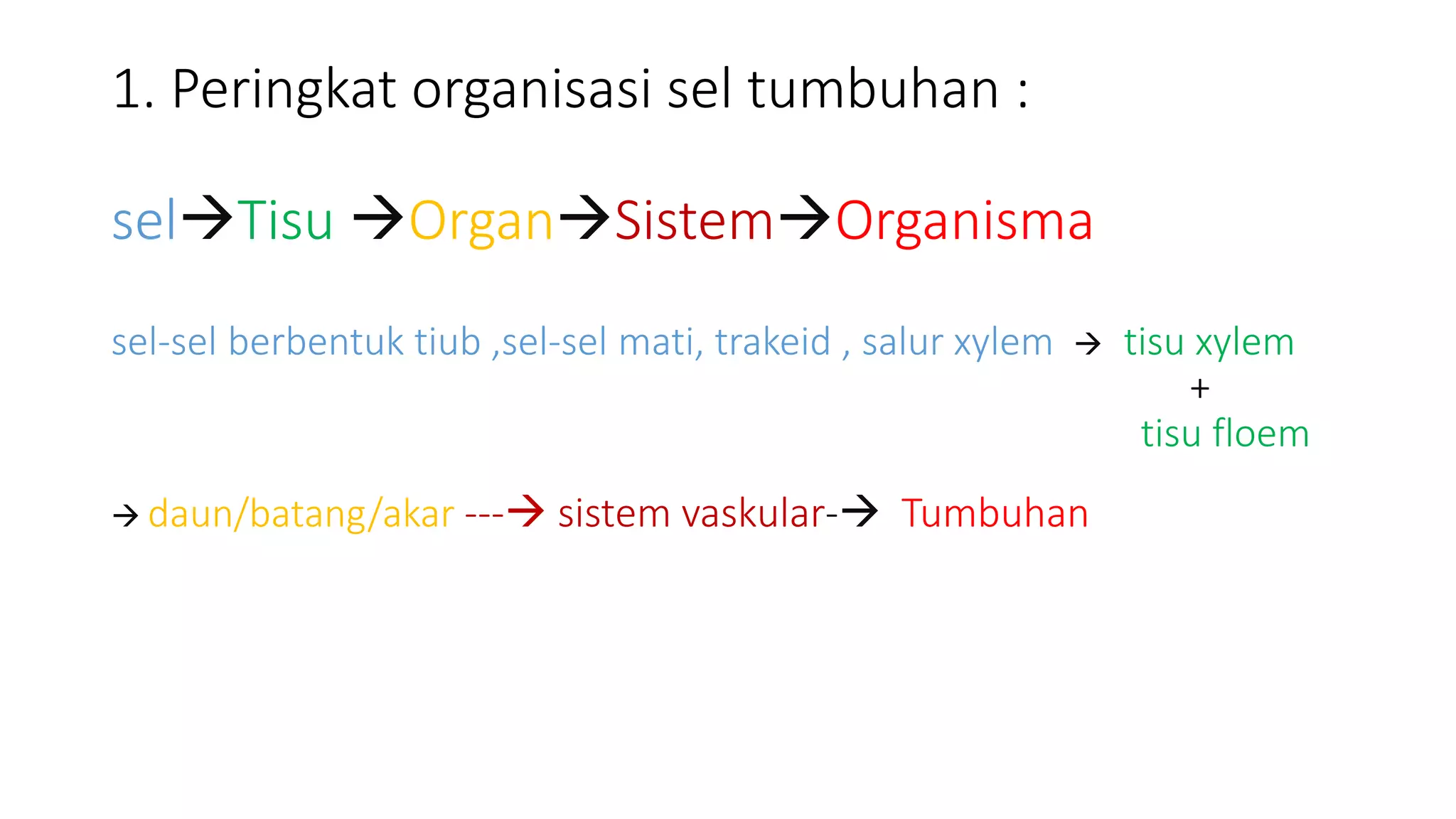 tisu tumbuhan | PPTX