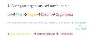 tisu tumbuhan | PPTX