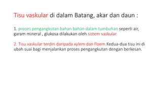 tisu tumbuhan | PPTX