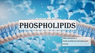 PHOSPHOLIPIDS - SOURCE, STRUCTURE, TYPES AND FUNCTIONS | PPT