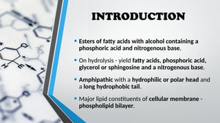 PHOSPHOLIPIDS - SOURCE, STRUCTURE, TYPES AND FUNCTIONS | PPT