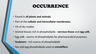 PHOSPHOLIPIDS - SOURCE, STRUCTURE, TYPES AND FUNCTIONS | PPT