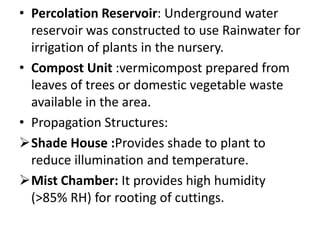 WORKING OF NURSERY ITS MANAGEMENT PPT.pptx