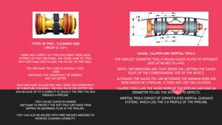 Pigging Activity | PPTX