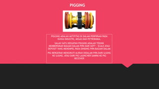 Pigging Activity | PPTX