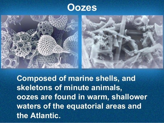 Upload undersea landscapes