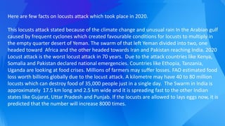 Locust Attack Facts And Solution | PPT
