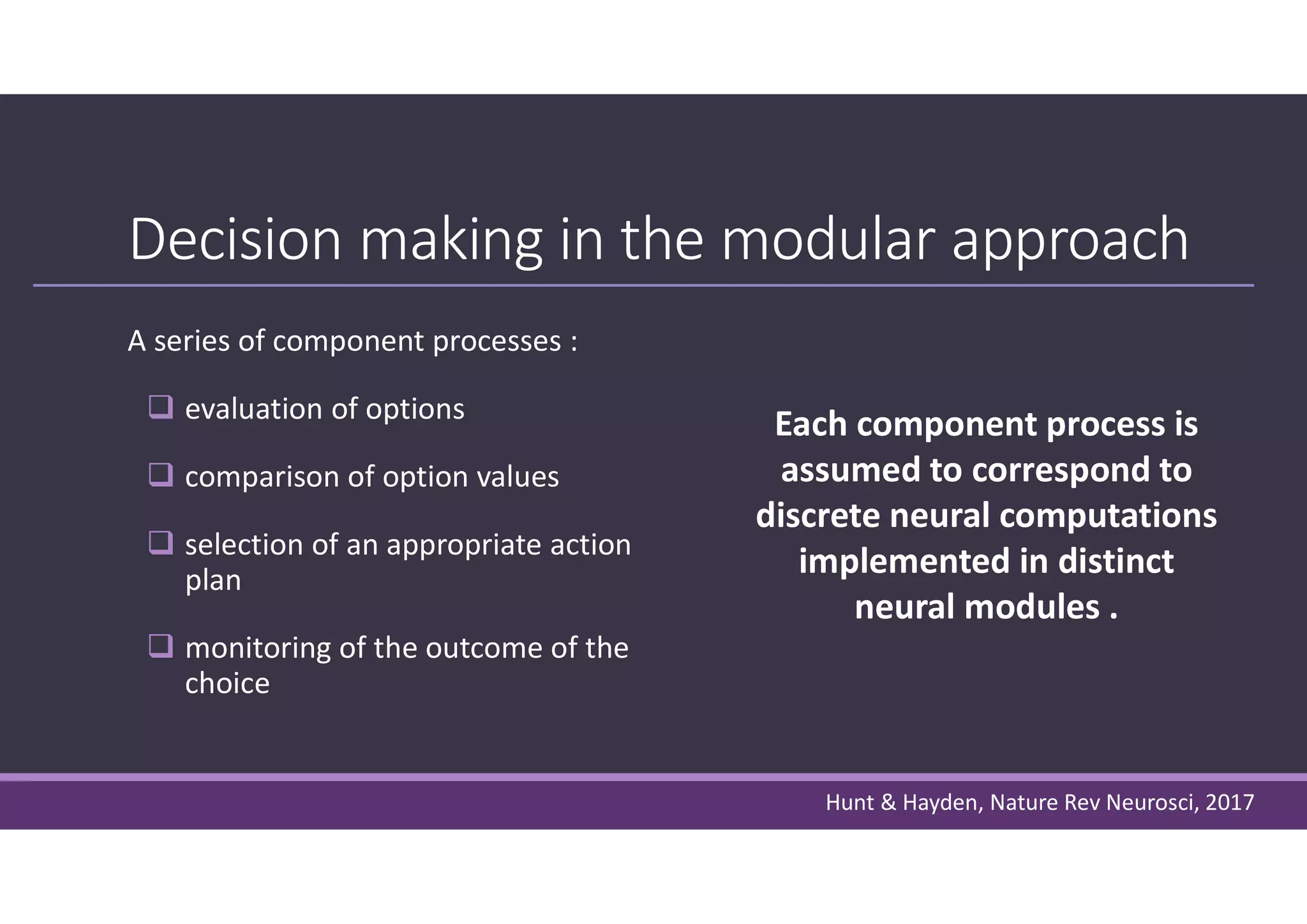 Prefrontal Cortex And Decision Making The Modular And Circuit Based