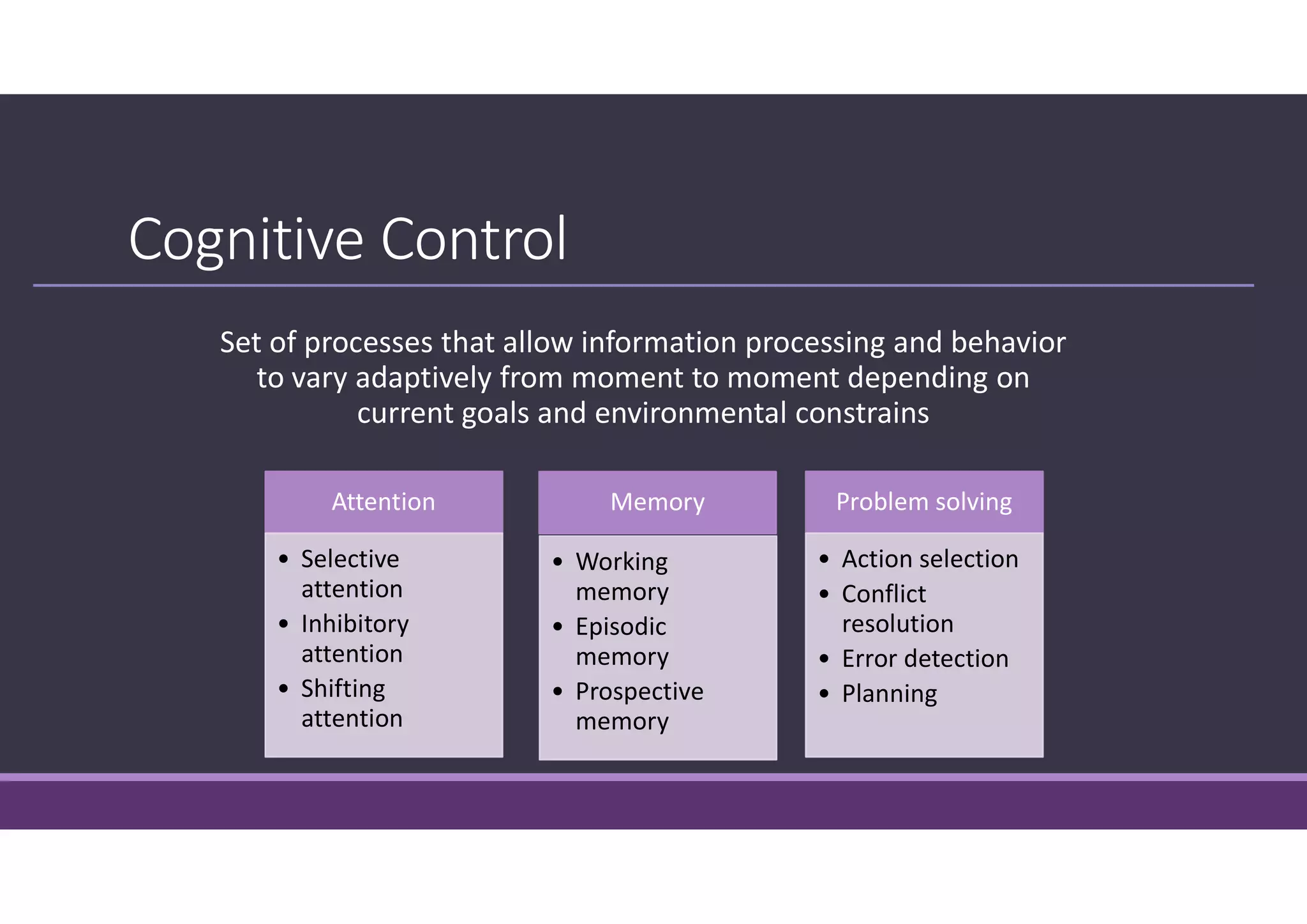 Prefrontal Cortex And Decision Making The Modular And Circuit Based