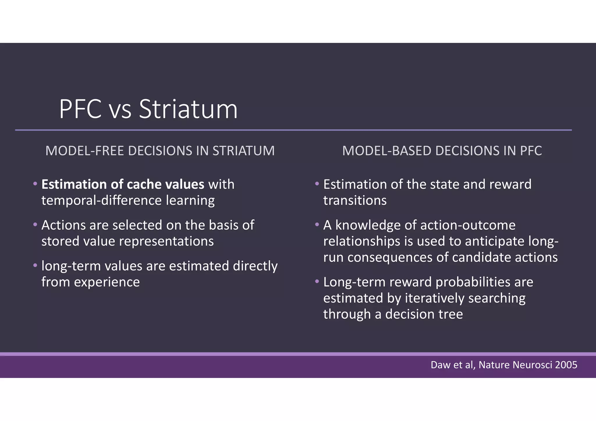 Prefrontal Cortex & Decision Making: the modular and circuit-based approach | PPT