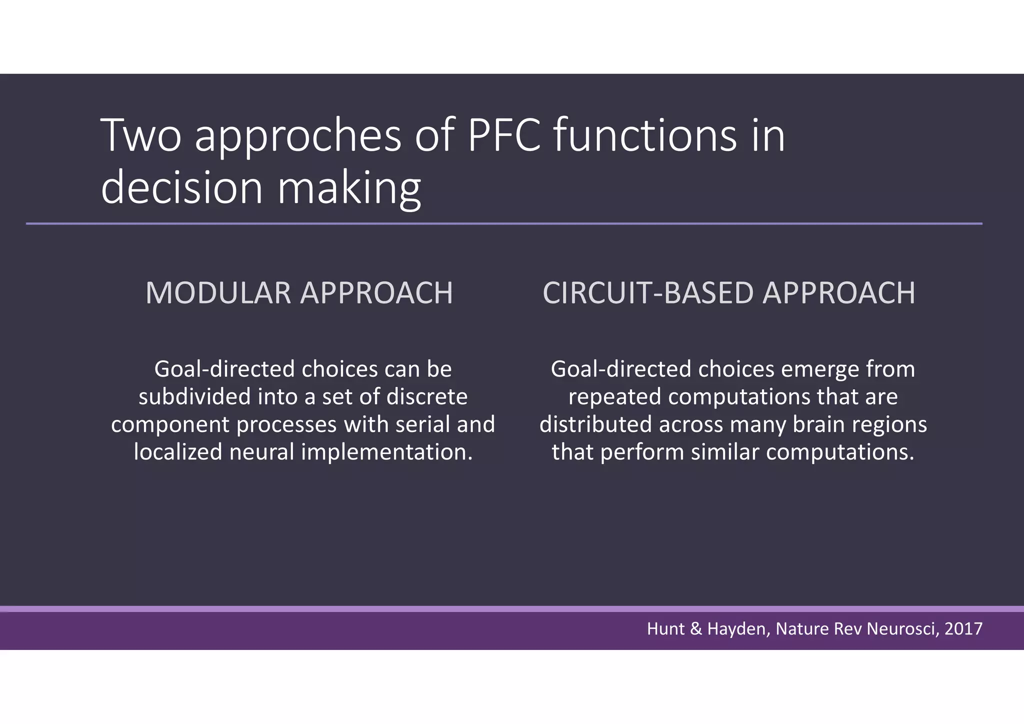Prefrontal Cortex And Decision Making The Modular And Circuit Based Approach Ppt