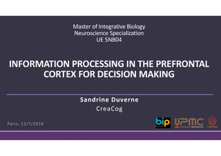 Prefrontal Cortex & Decision Making: the modular and circuit-based approach | PPT