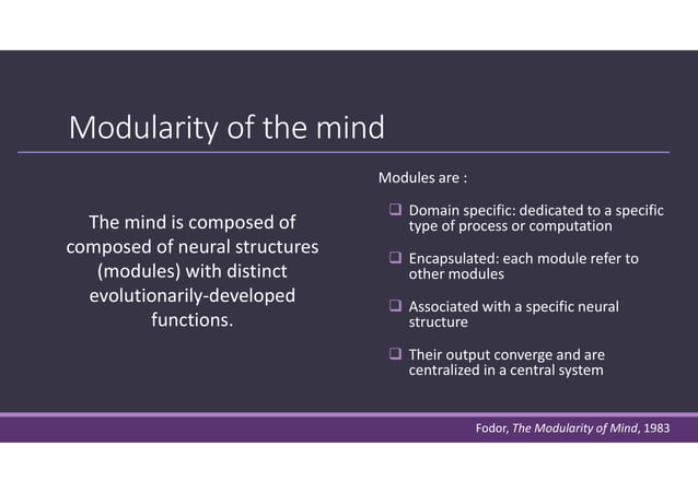 Prefrontal Cortex And Decision Making The Modular And Circuit Based