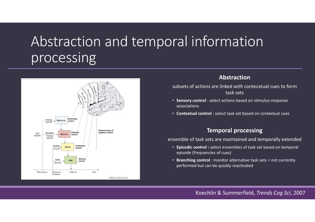 Prefrontal Cortex And Decision Making The Modular And Circuit Based Approach Ppt