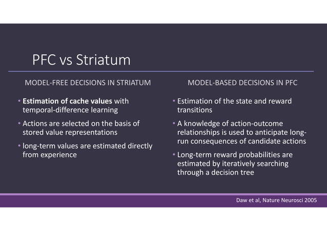 Prefrontal Cortex And Decision Making The Modular And Circuit Based