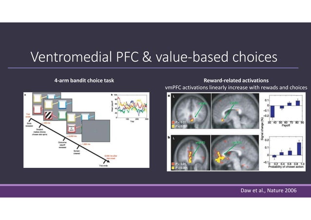 Prefrontal Cortex And Decision Making The Modular And Circuit Based Approach Ppt