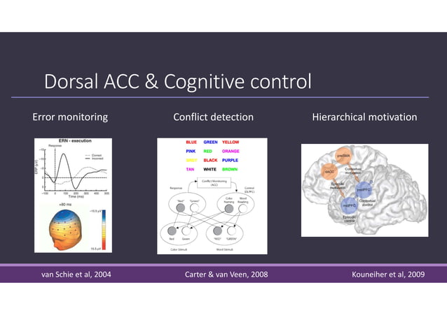Prefrontal Cortex And Decision Making The Modular And Circuit Based Approach Ppt
