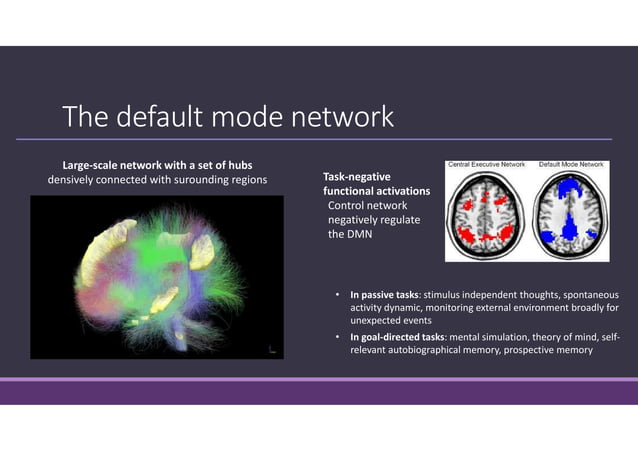 Prefrontal Cortex And Decision Making The Modular And Circuit Based
