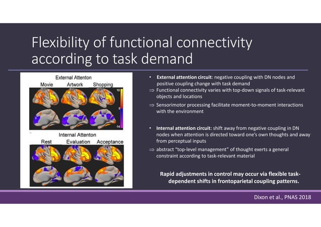Prefrontal Cortex And Decision Making The Modular And Circuit Based Approach Ppt
