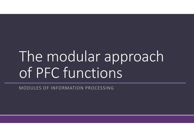 Prefrontal Cortex And Decision Making The Modular And Circuit Based