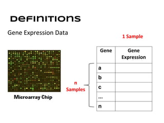 Gene Expression Data Analysis | PDF
