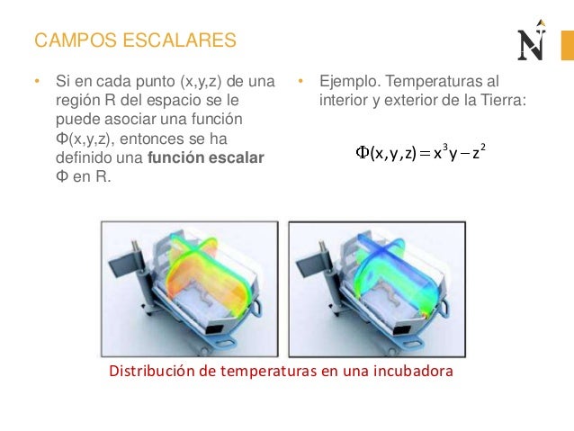 Campos Escalares Y Vectoriales