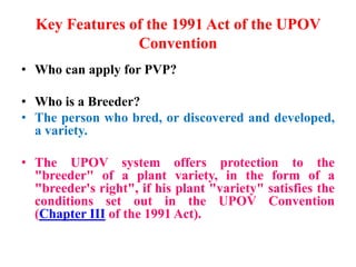 UPOV.pptx