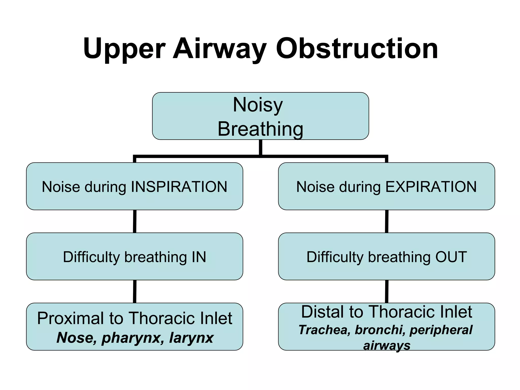Upper airway-obstruction | PPT