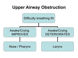 Upper airway-obstruction | PPT