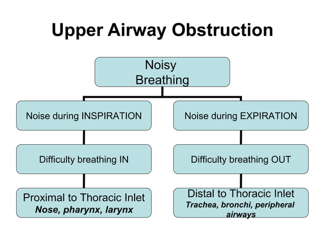 Upper Airway Obstruction