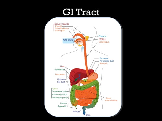 Upper GI Bleeds | PPT