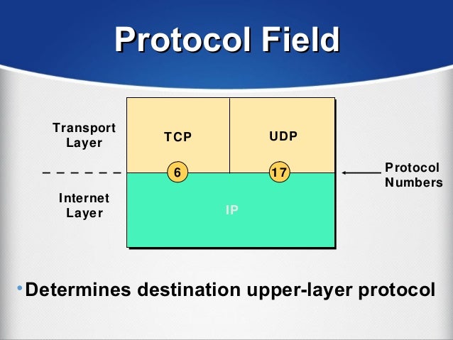 Qspiders Upper Layer Protocols