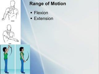 Upper-Limb-anatomyUpper limb anatomy part 2 for first and second year ...