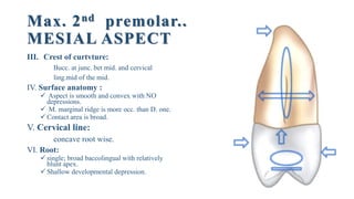 Maxillary second premolar | PPTX