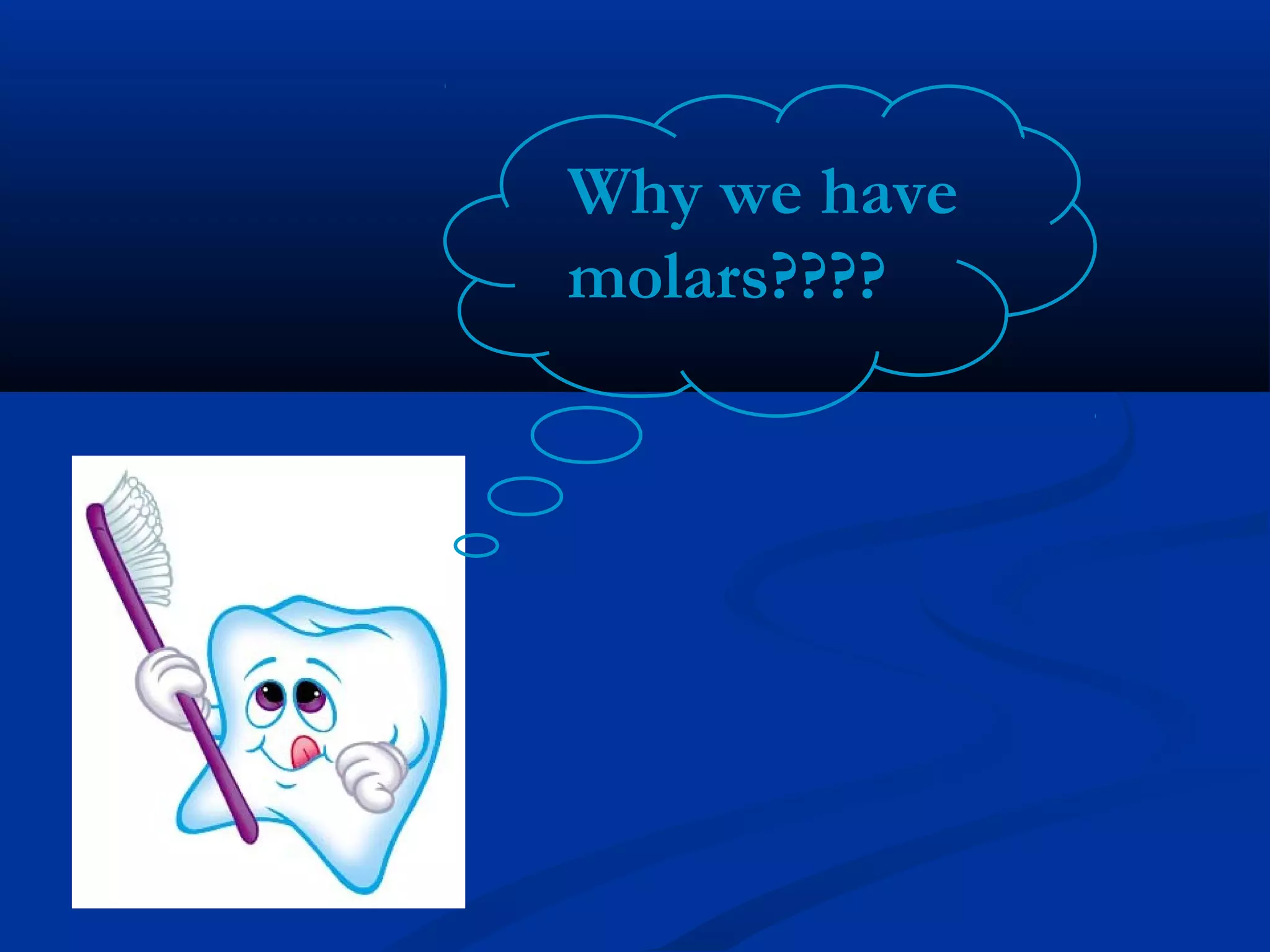 Upper First Molar | PPT