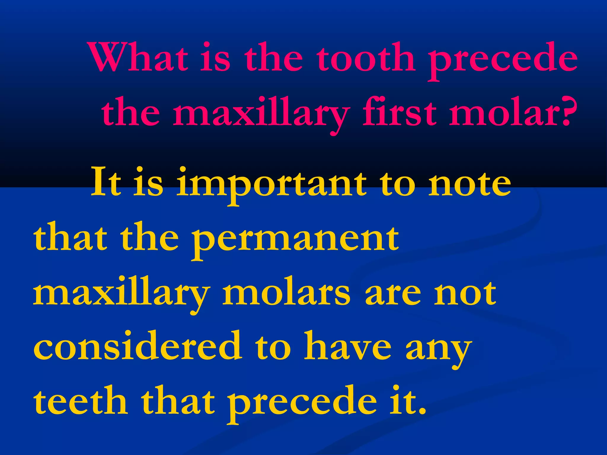 Upper First Molar | PPT