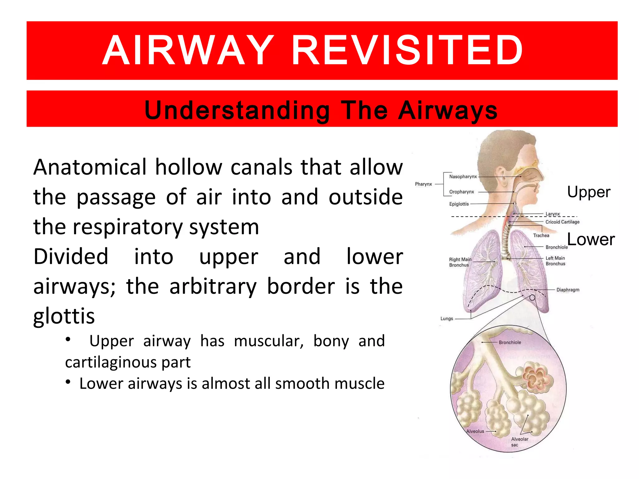 Upper airway assessment east iv | PPT