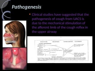 Upper Airway Cough Syndrome management.pptx