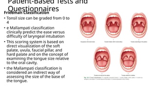 Upper Airway, Cranial Morphology, and Sleep Apnea.pptx