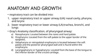 Upper Airway, Cranial Morphology, and Sleep Apnea.pptx