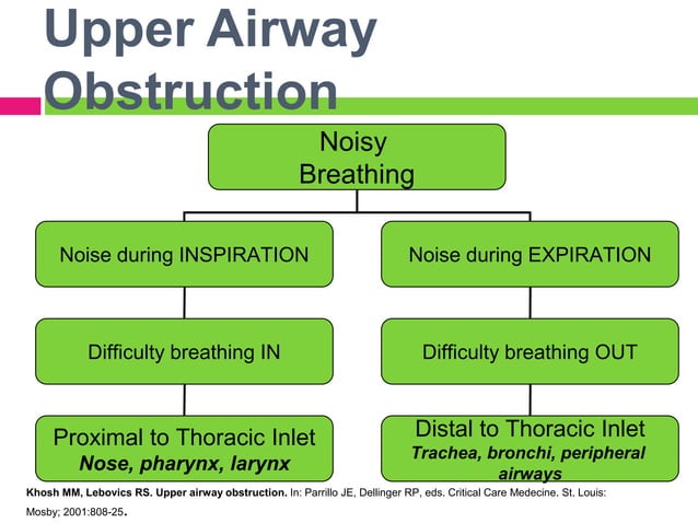 Upper airway obstruction | PPTX