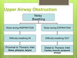 UpperAirwayObstruction.pptx