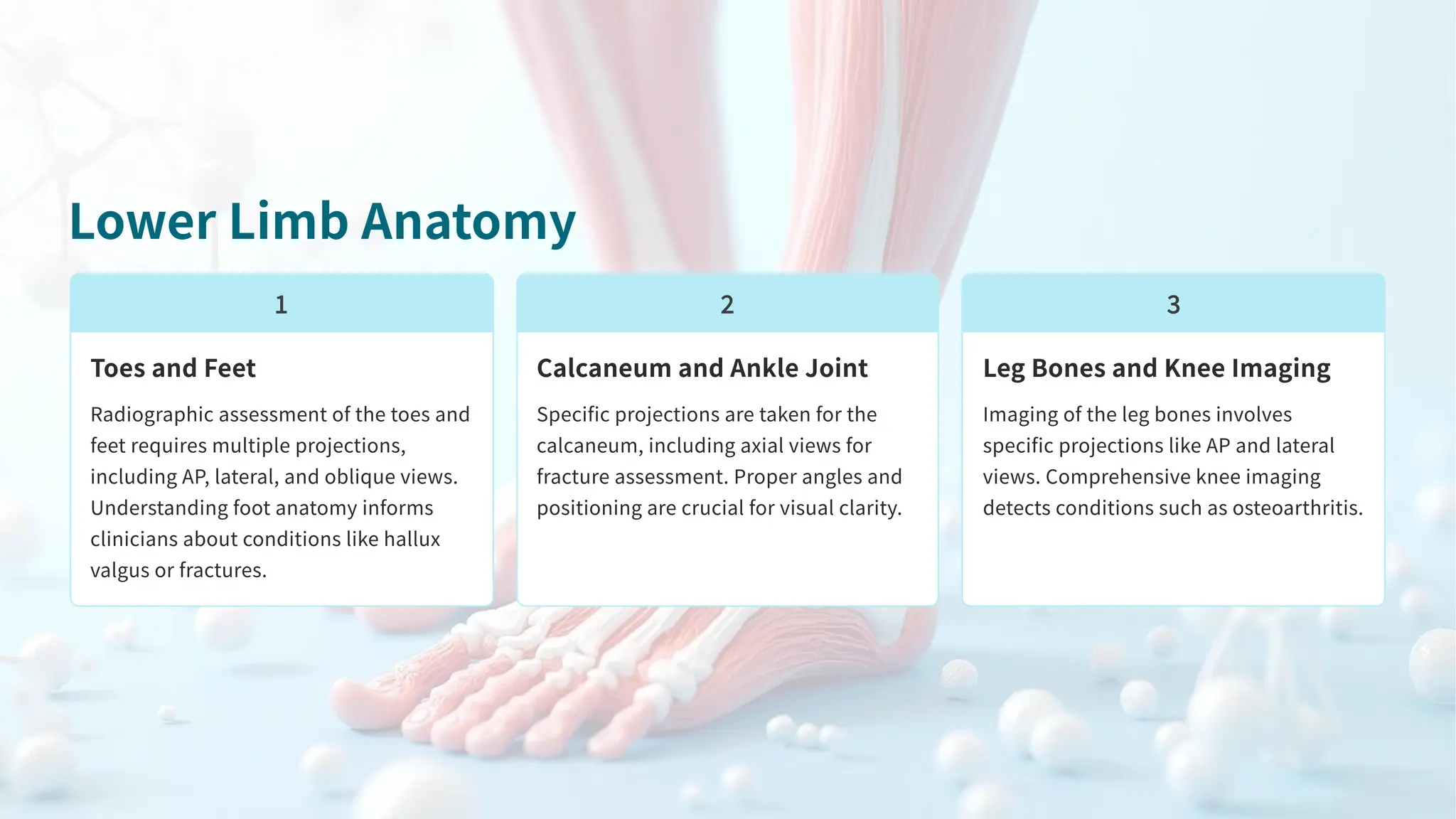 Upper and Lower Limb Radiography view.pdf