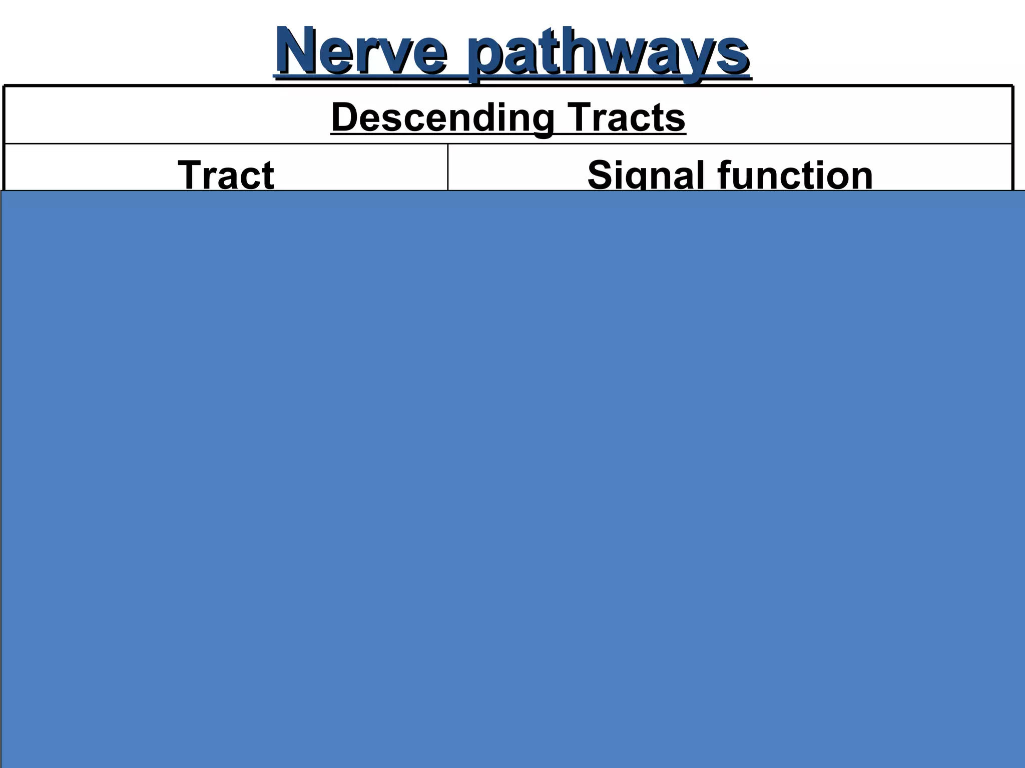 Upper and lower motor neuron | PPT