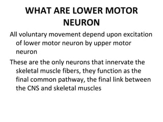 Upper Motor Neuron Function