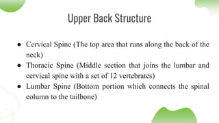 Upper Back Pain | Causes and Treatments | PPTX